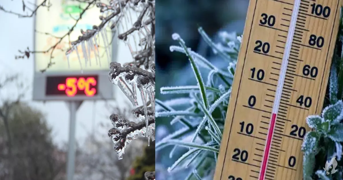 » Esfriou aí? 15 curiosidades sobre o frio que você não sabia